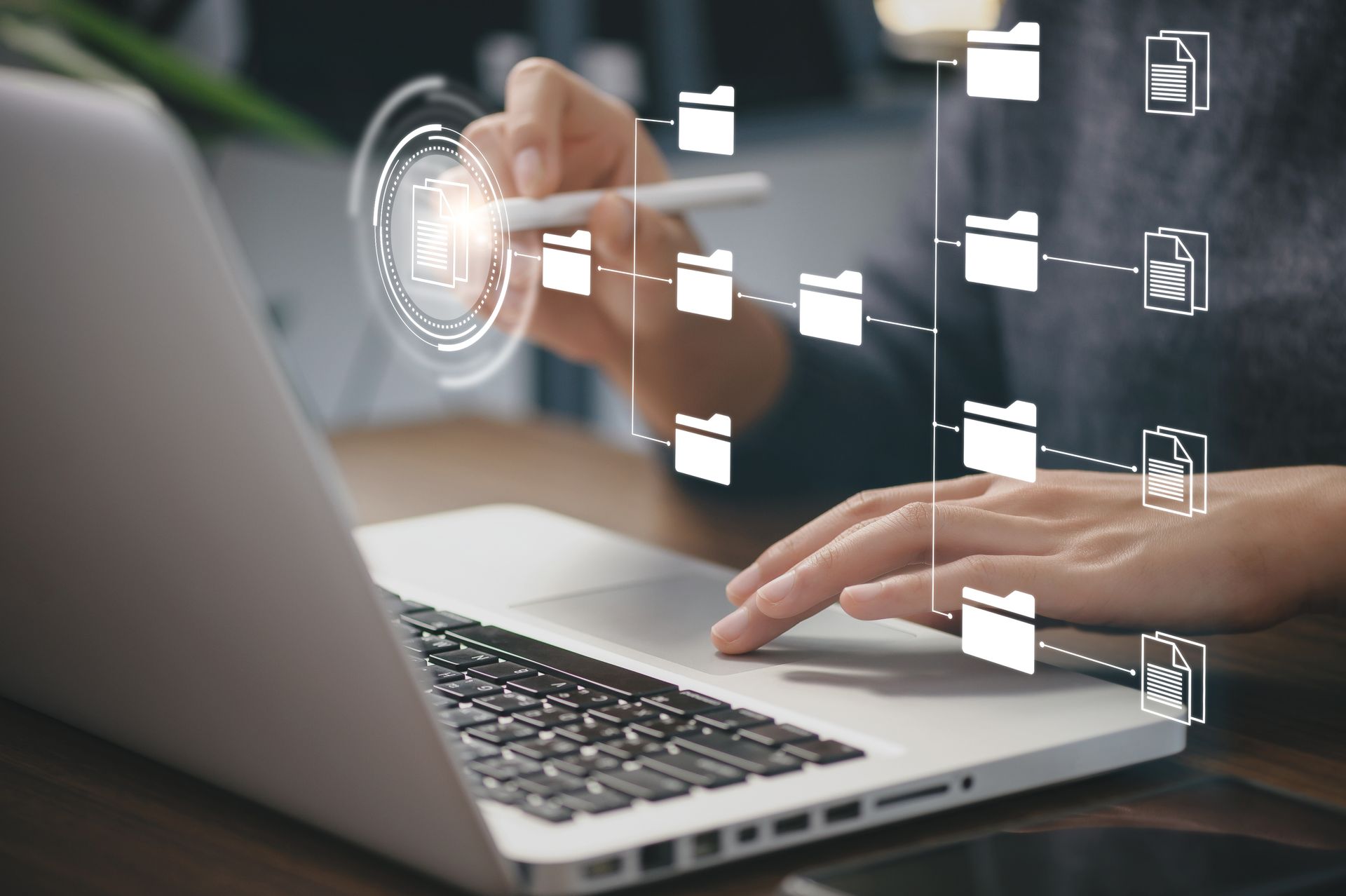 MainFields - Diensten